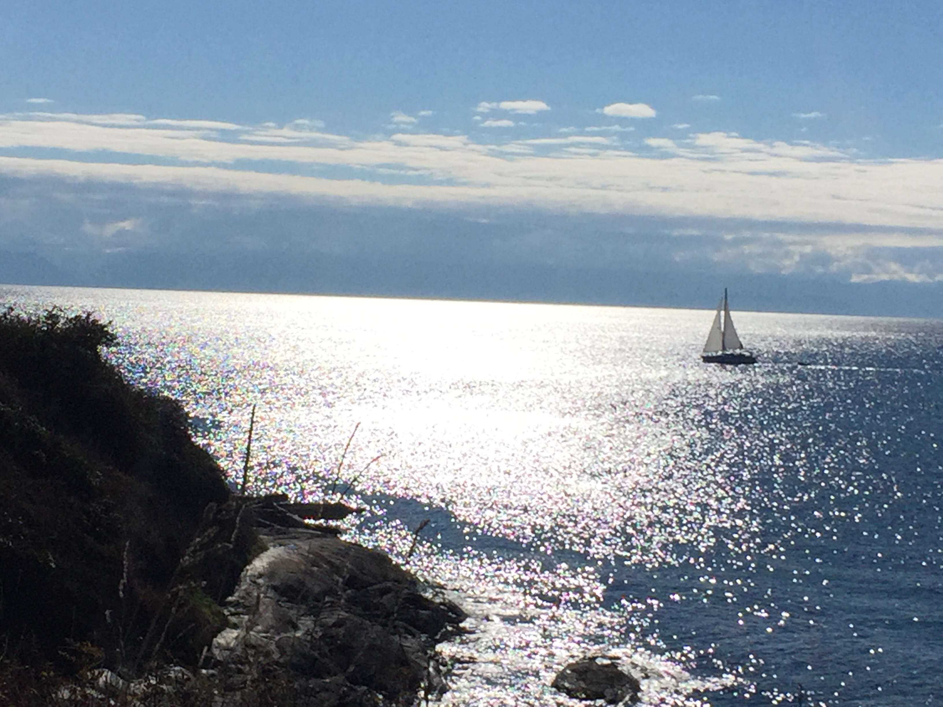 A few more scenes from Turkey Weekend | Zombie Flamingos