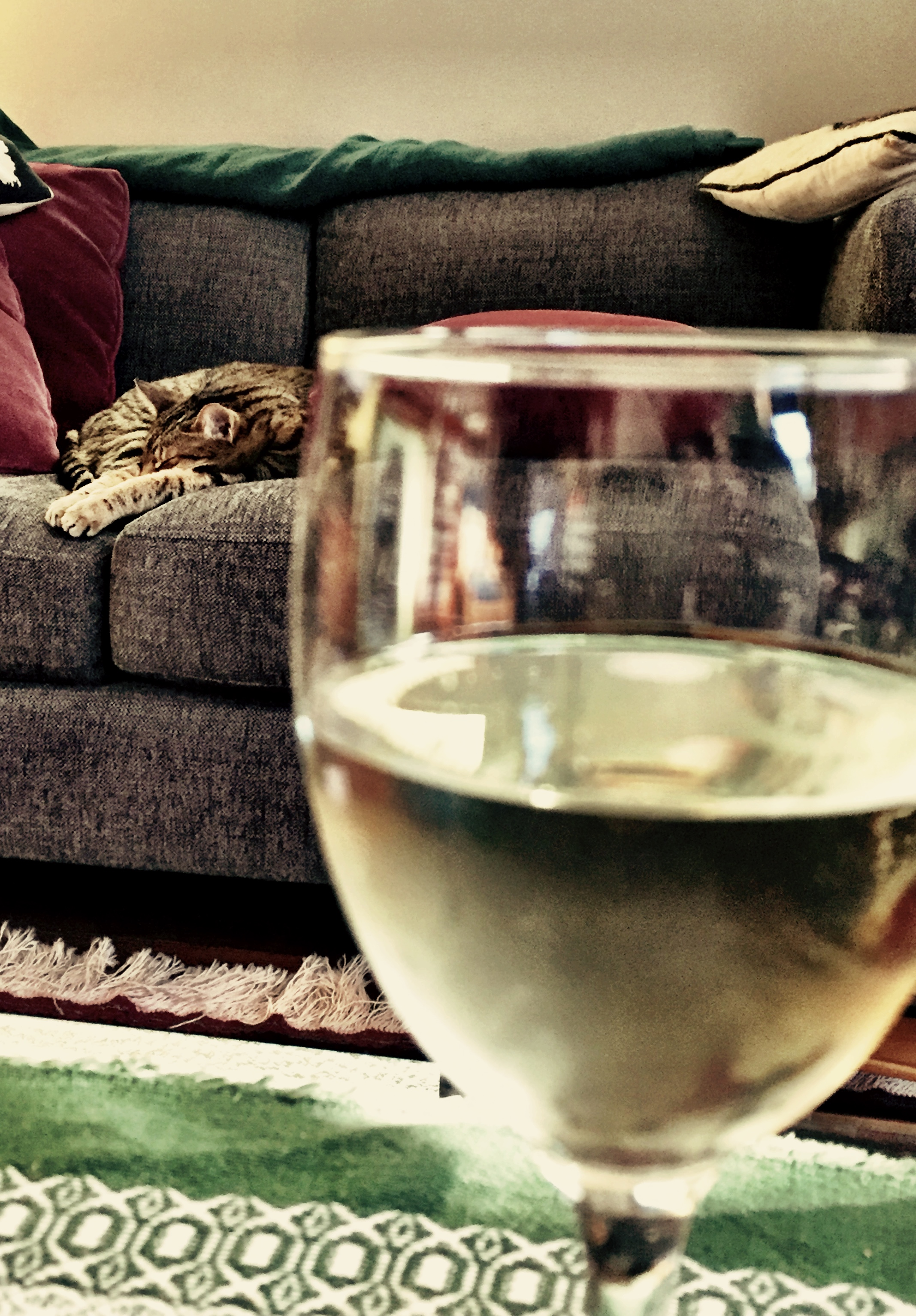 Fandango’s One Word Challenge: Accomplice | Zombie Flamingos