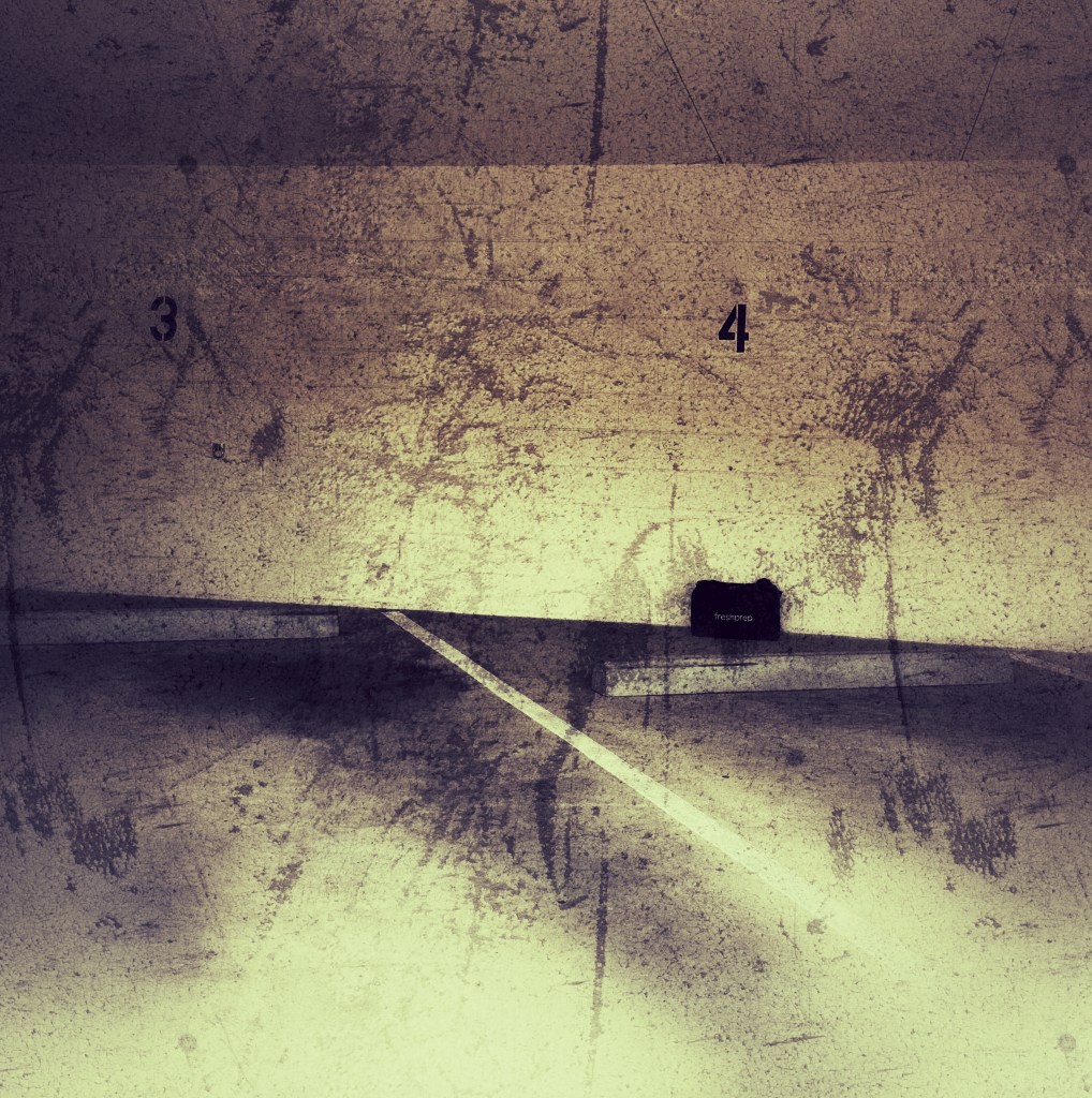 Monochrome Monday | Zombie Flamingos