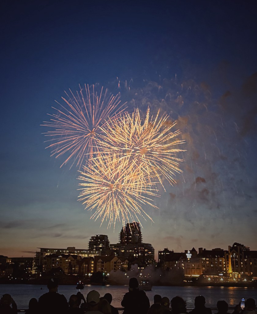 Just Jot it January, 2026: January 9 | Zombie Flamingos