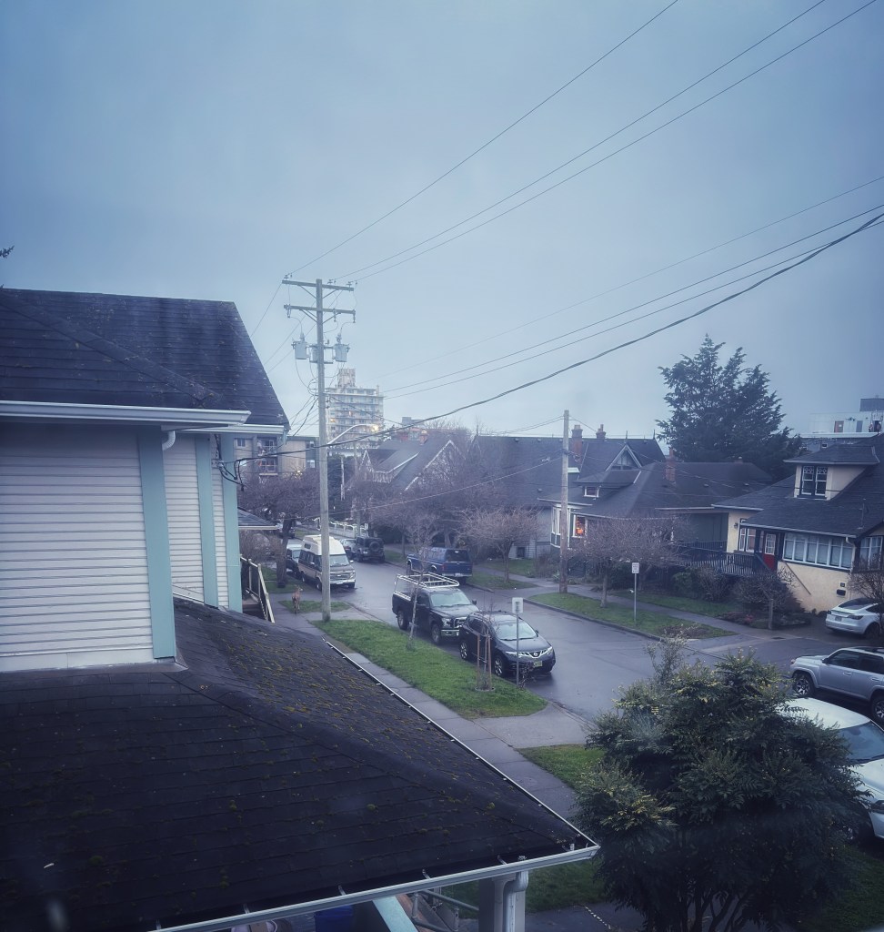 2026 365: Day 28 (January 28) | Zombie Flamingos